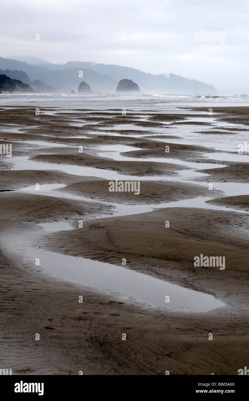 Tidal pools tide hi-res stock photography and images - Alamy