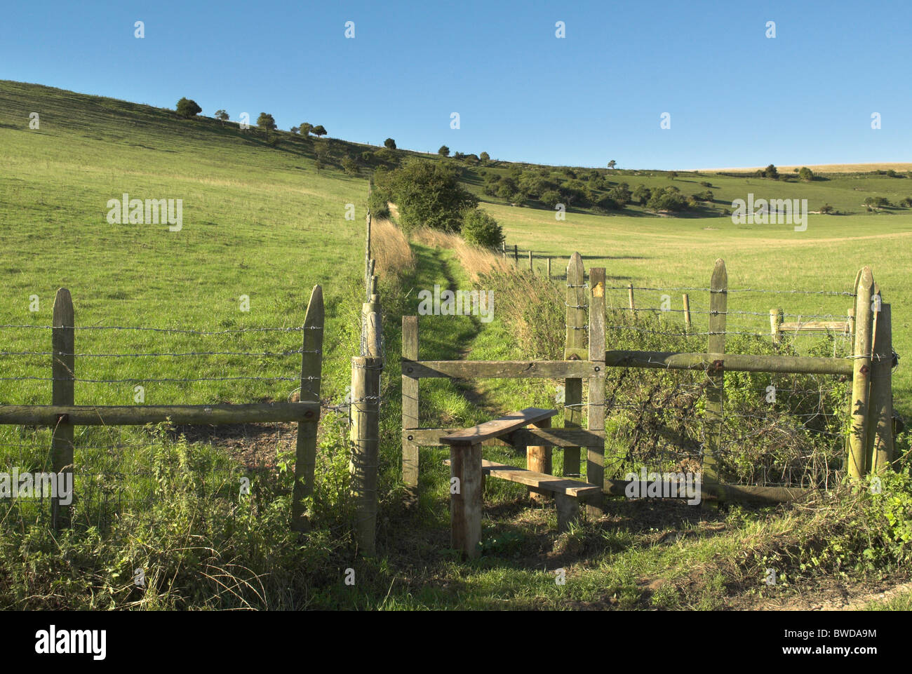 Looking from Cow Bottom towards Lancing Hill - South Downs National ...
