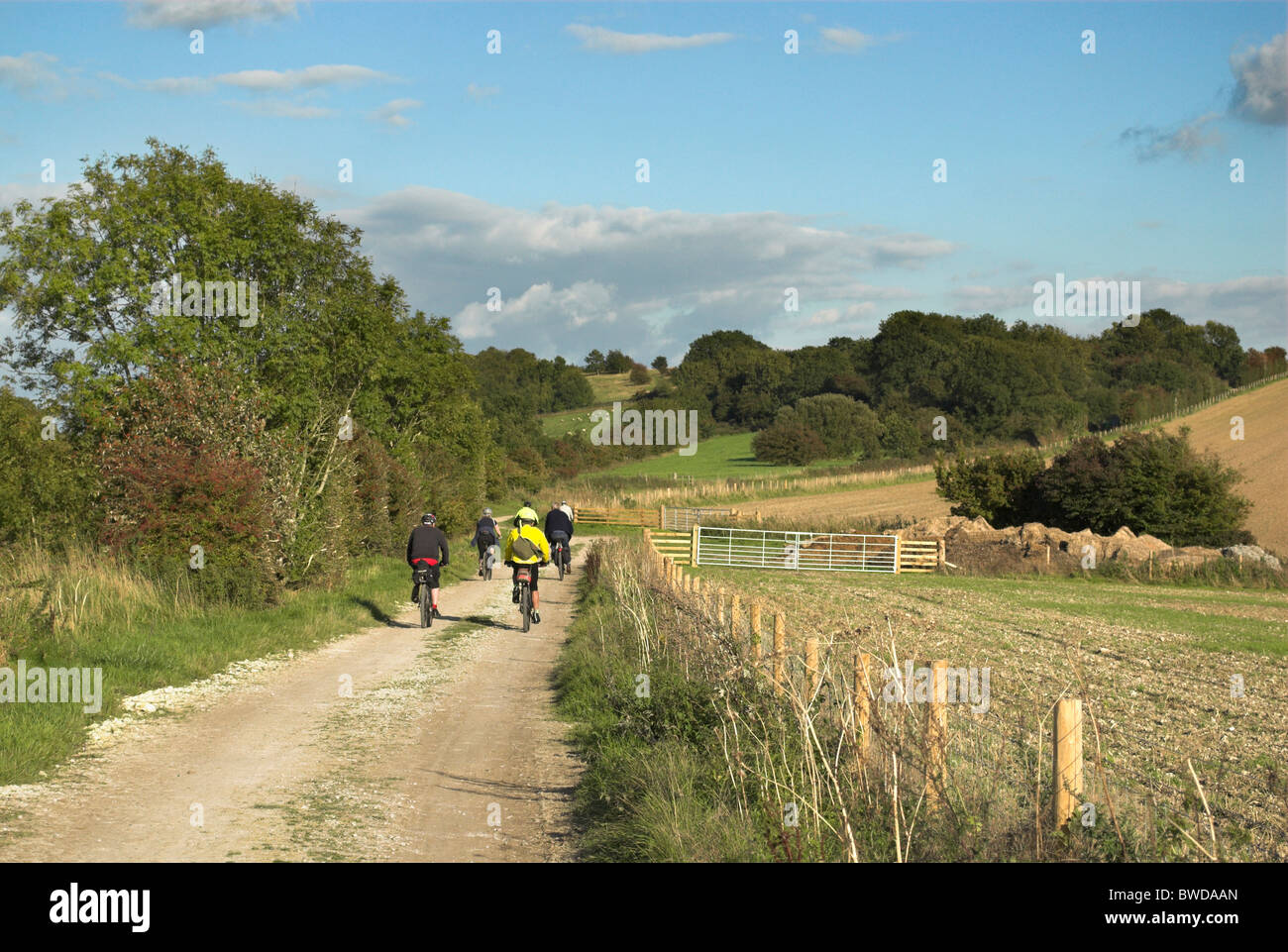The South Downs Way at Parham Post between Washington and Amberley in ...
