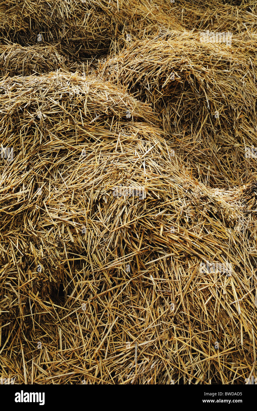 Close-up of haystack Stock Photo - Alamy