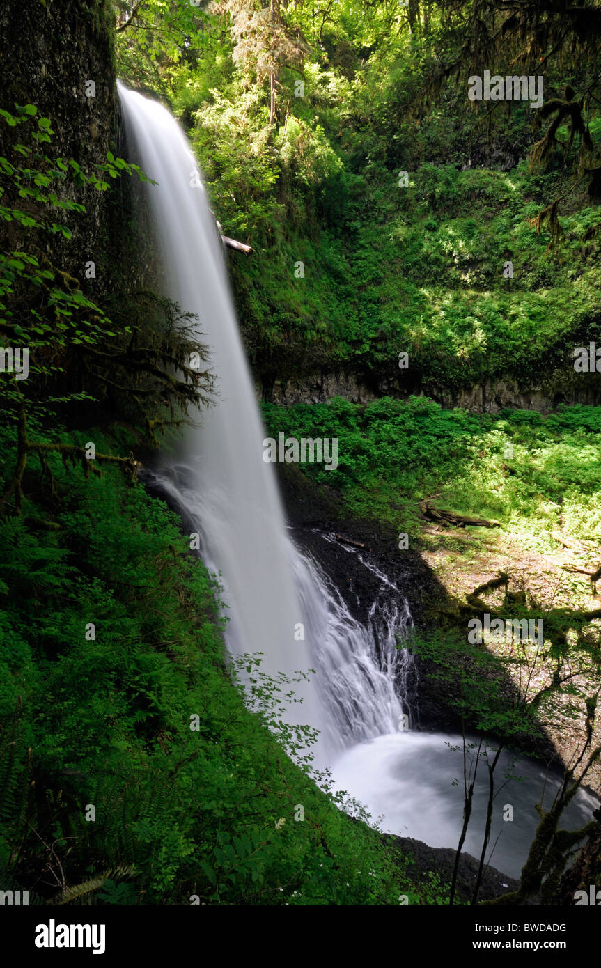 Middle North falls Silver Falls State Park Oregon USA Trail of Ten ...