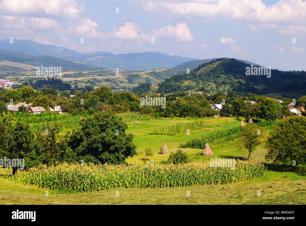 Rural landscape, Carpathian Mountains, western Ukraine Stock Photo - Alamy
