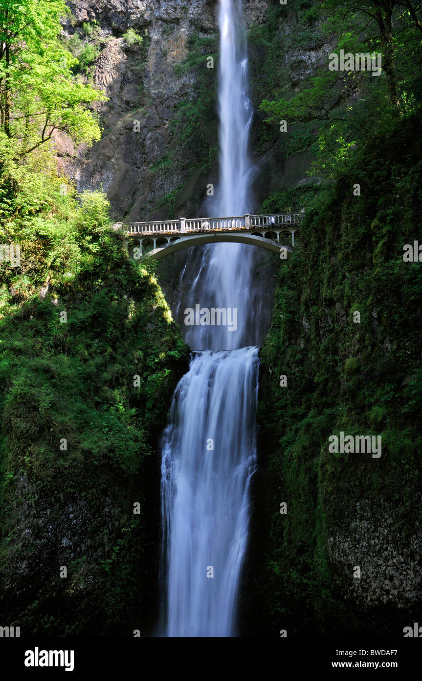 Multnomah Falls waterfall Benson Footbridge bridge Columbia River Gorge ...