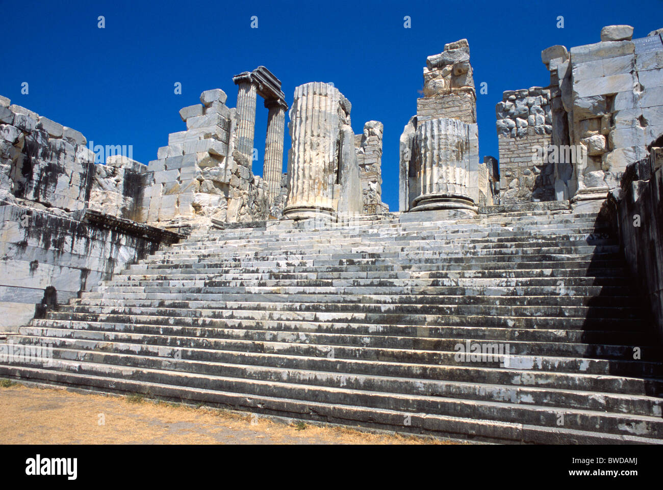 Idifice hi-res stock photography and images - Alamy