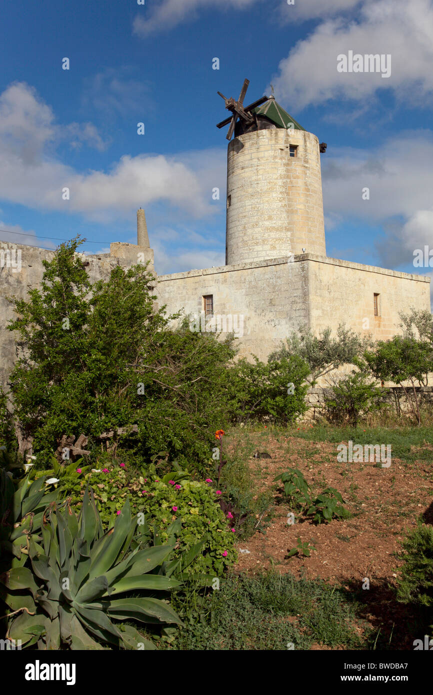 Tax xarolla hi-res stock photography and images - Alamy