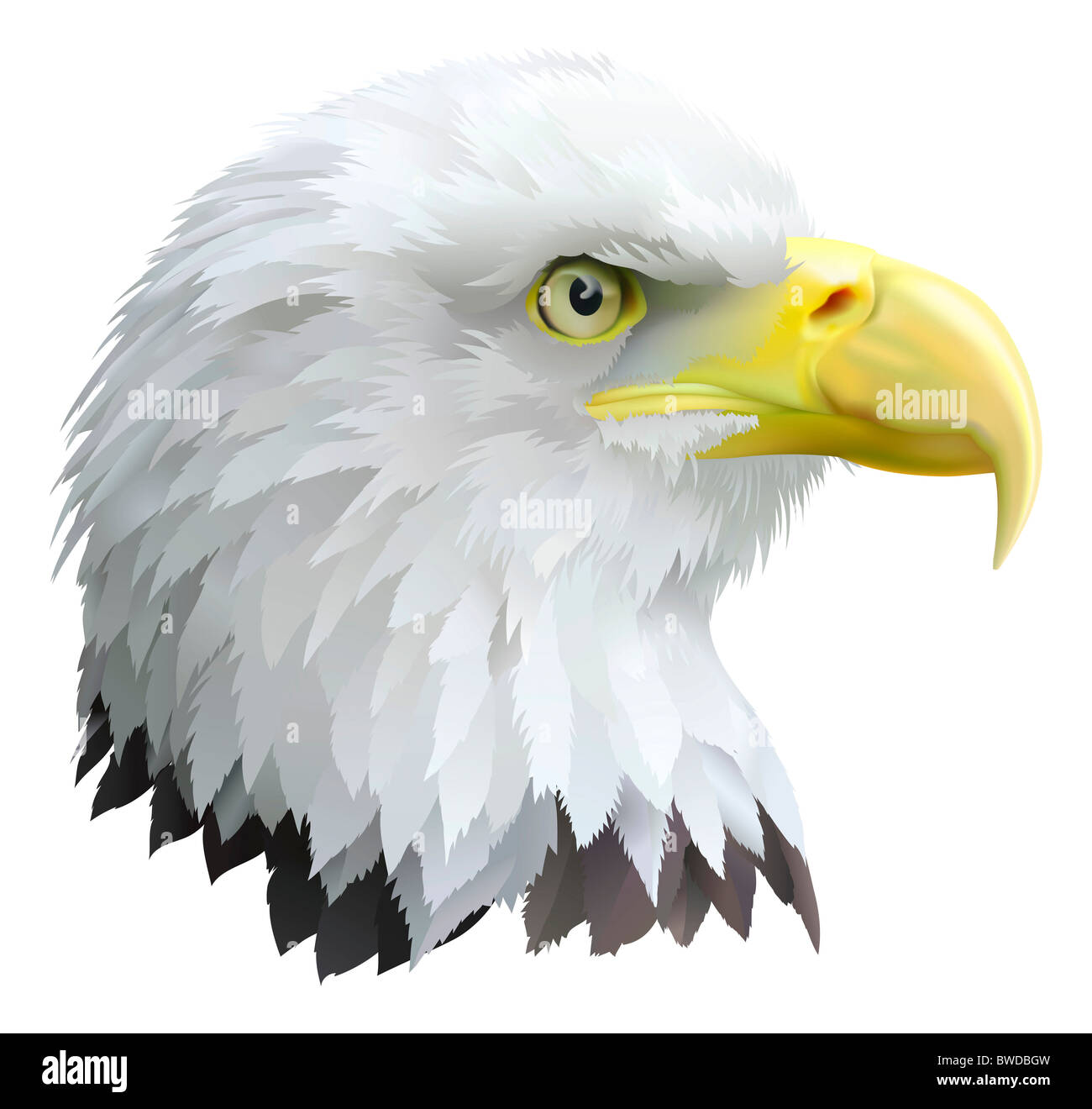 Flying head Cut Out Stock Images & Pictures - Alamy