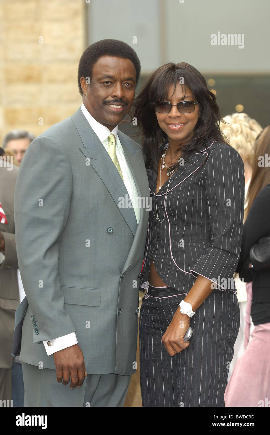 Star on the Hollywood Walk of Fame for Jim Hill Stock Photo - Alamy