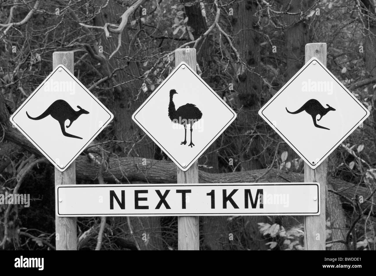 Pictorial warning sign hi-res stock photography and images - Alamy