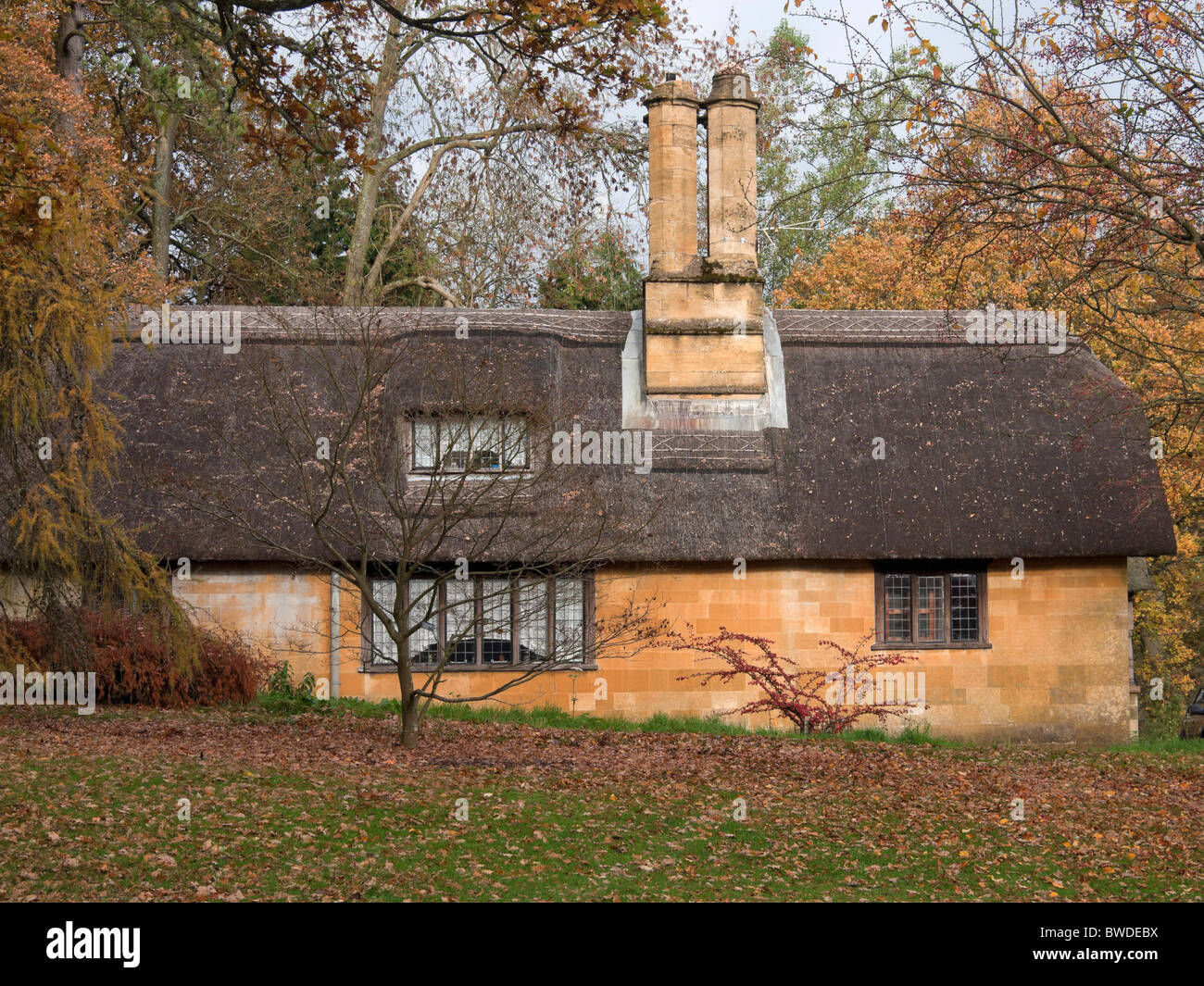 autumn woodland at batsford arboretum the cotswolds gloucestershire ...