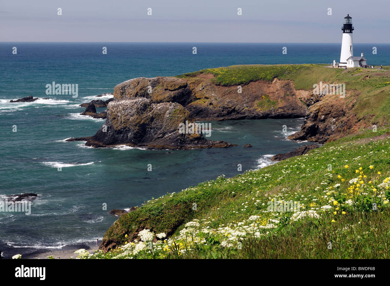 Yaquina head Lighthouse Newport Oregon USA pacific ocean northwest ...