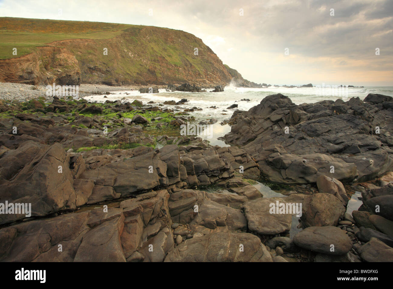 Duckpool hi-res stock photography and images - Alamy