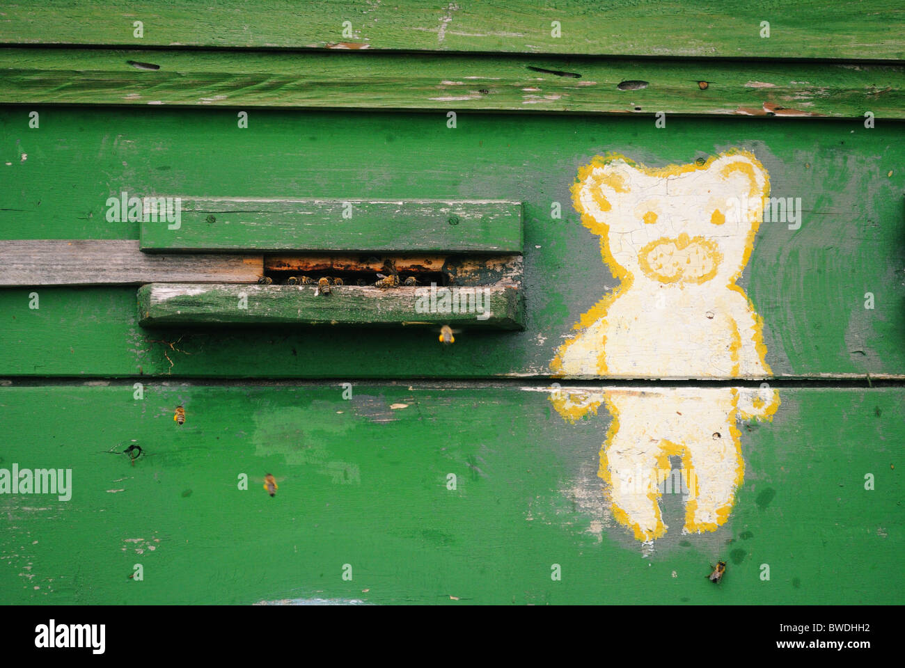 Bear beehive hi-res stock photography and images - Alamy
