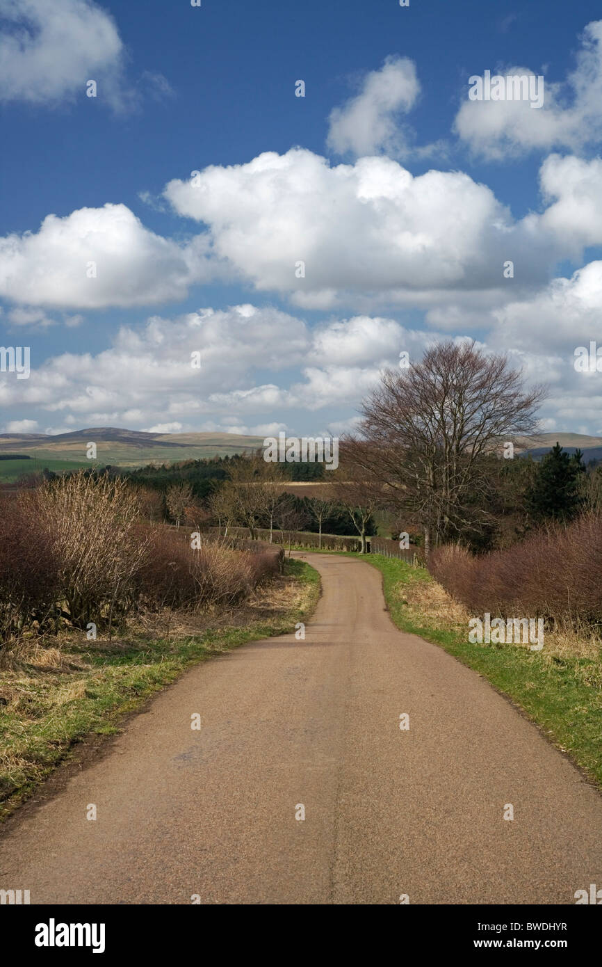An empty country lane stretching off into the distance under a blue sky ...
