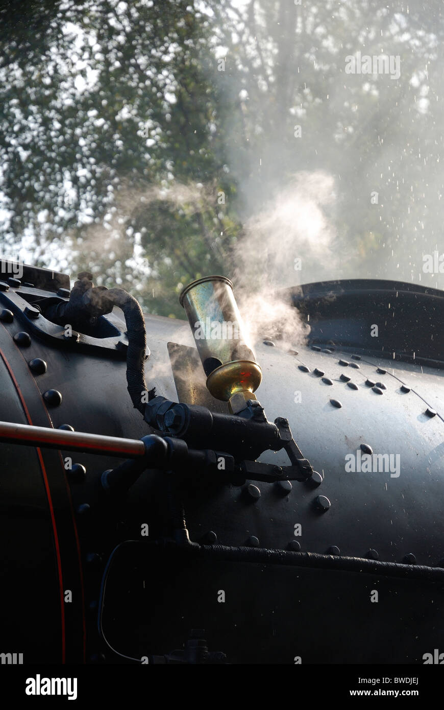 whistle blowing steam on locomotive 71000 duke of Gloucester Stock ...