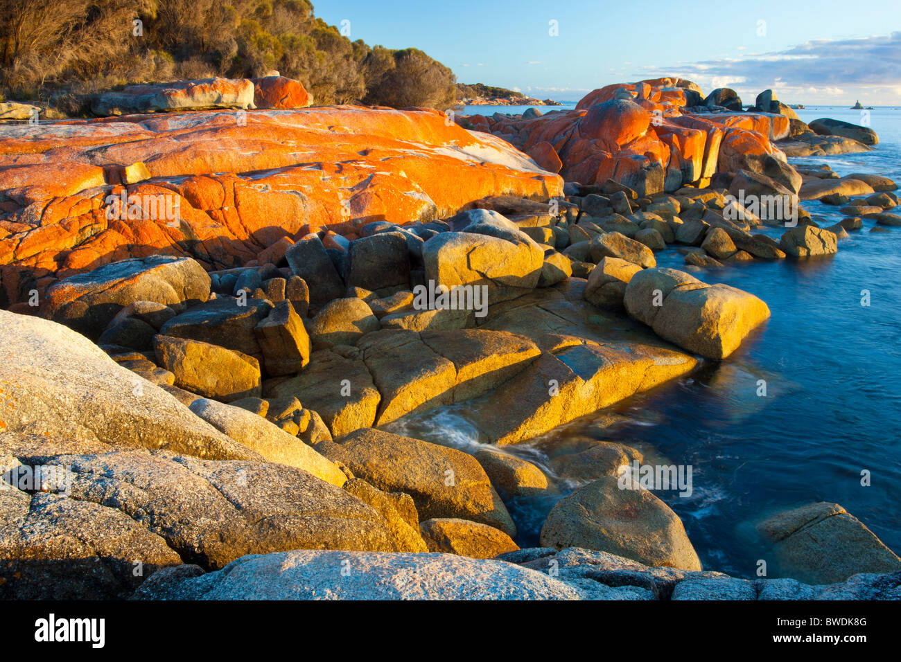 Red lichen covered rocks at Cosy Corner in the Bay of Fires on Tasmania ...