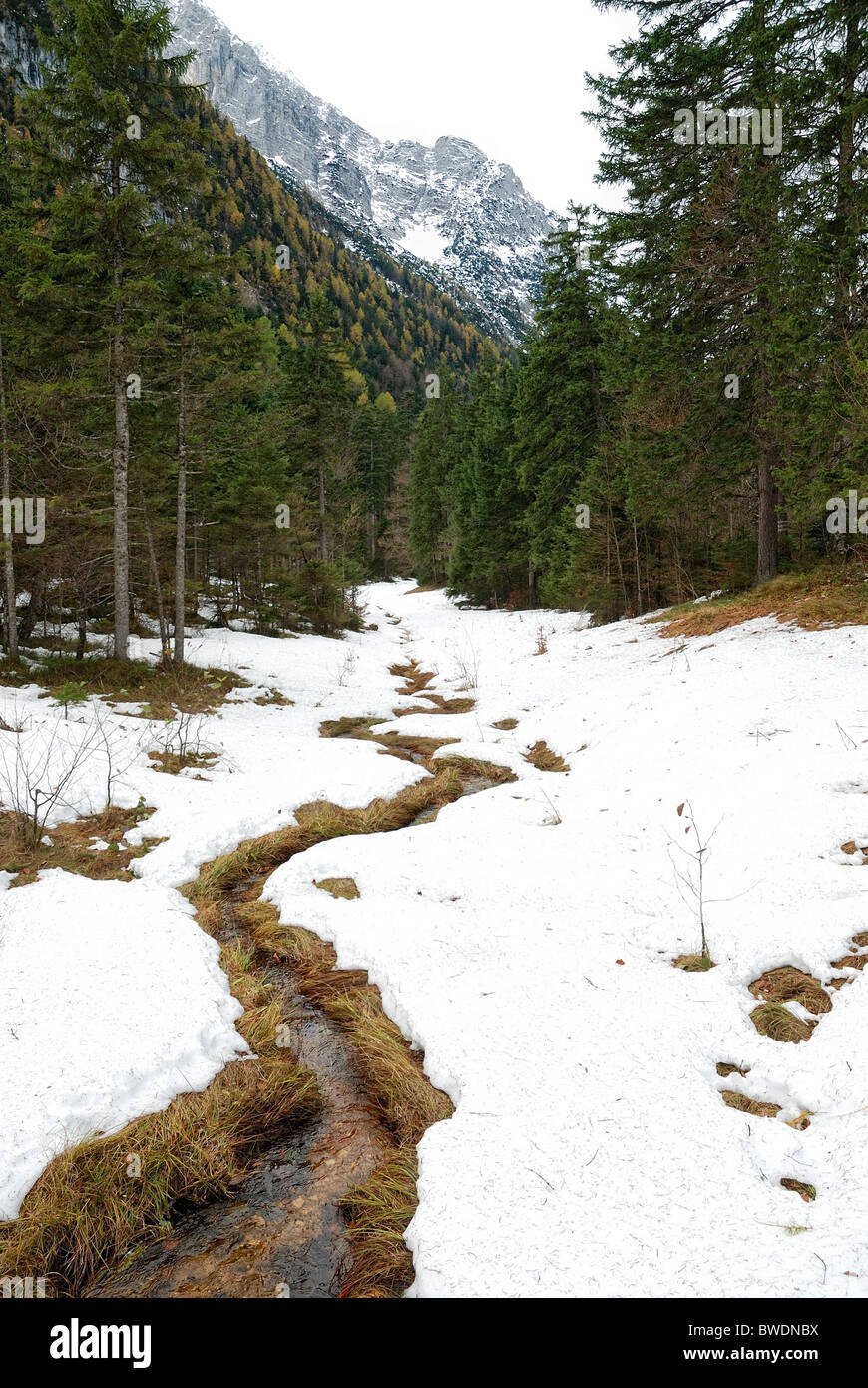 Mittenwald germany hi-res stock photography and images - Alamy