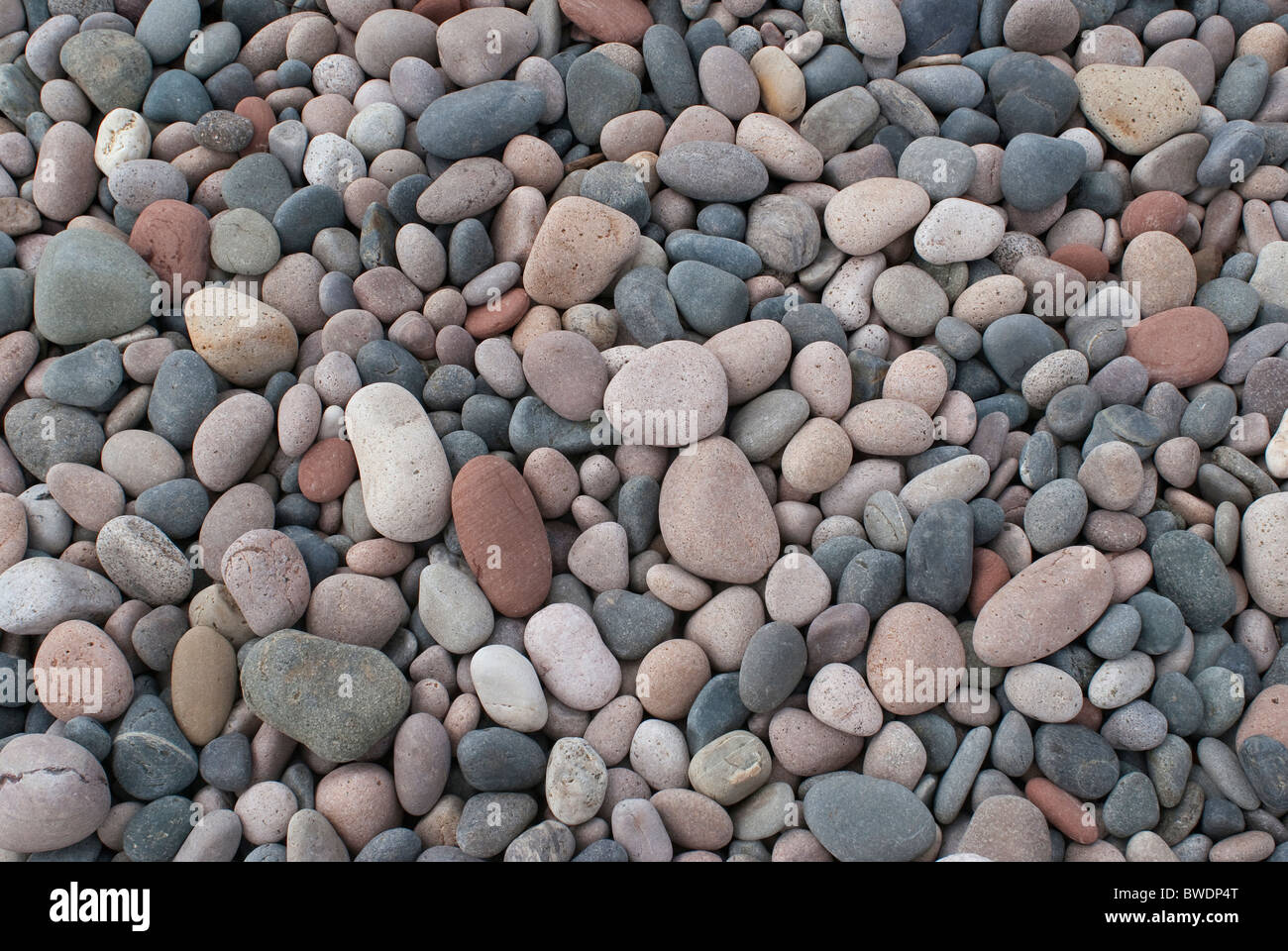 Multi-colored stones on a beach Stock Photo - Alamy