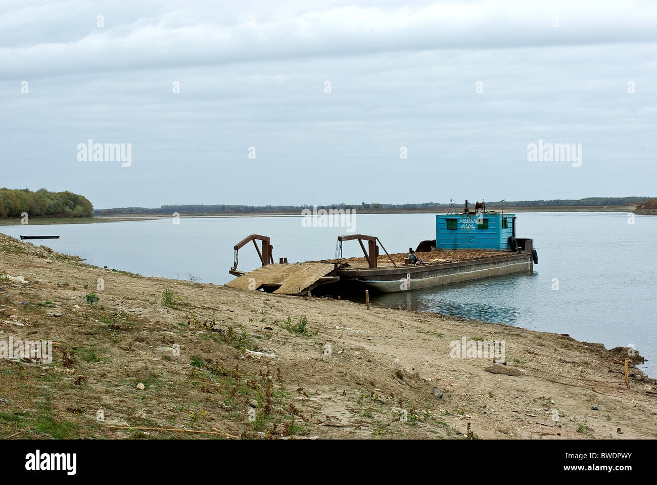 Boy catches a fish barge enabled Stock Photo - Alamy