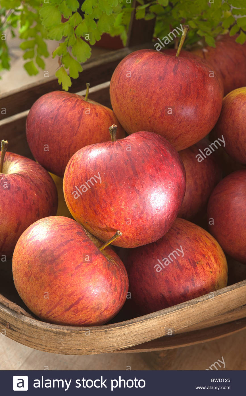 Jupiter Stock Photos & Jupiter Stock Images - Alamy