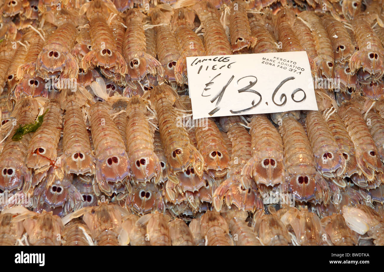 Fine Adriatic prawns on sale in the fish section of the Rialto food ...