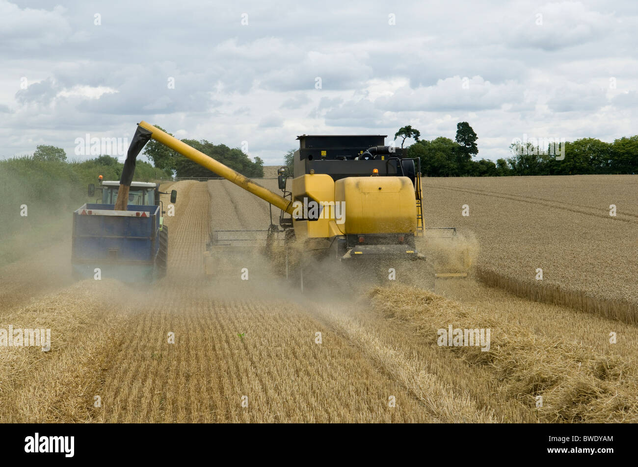 Combine harvester unloading grain hi-res stock photography and images ...