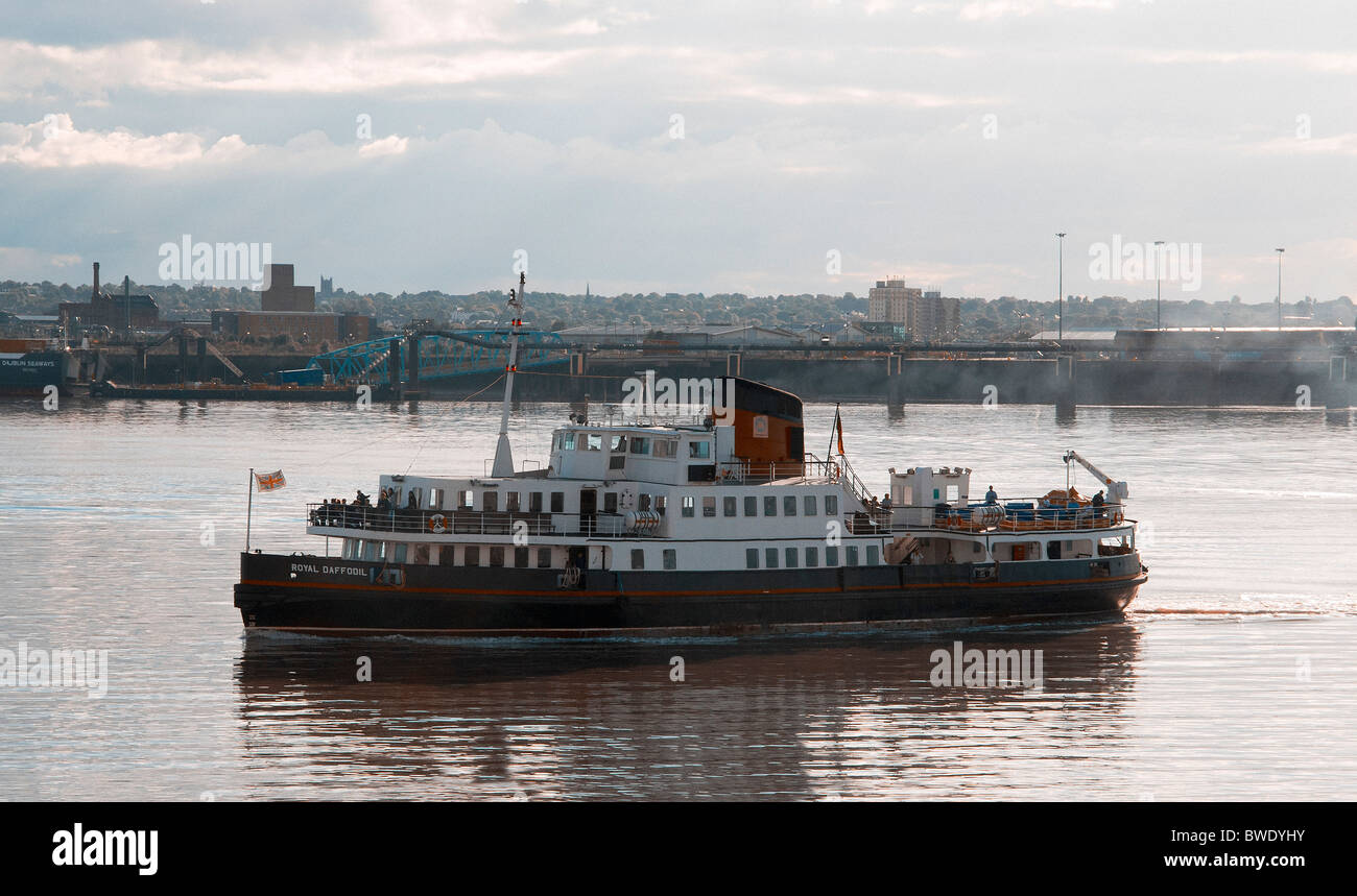Royal Daffodil Mersey ferry boat Stock Photo - Alamy