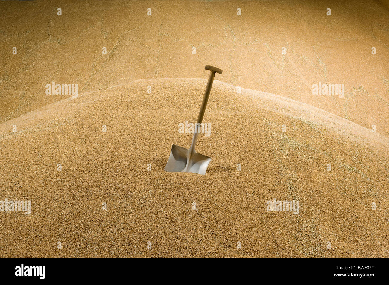 Store upright hi-res stock photography and images - Alamy