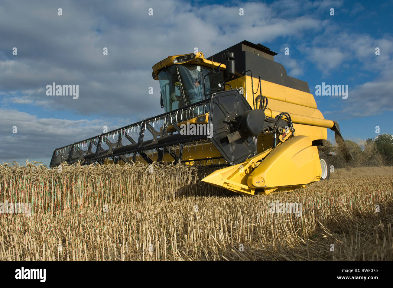 Combine harvester in wheat field Stock Photo - Alamy