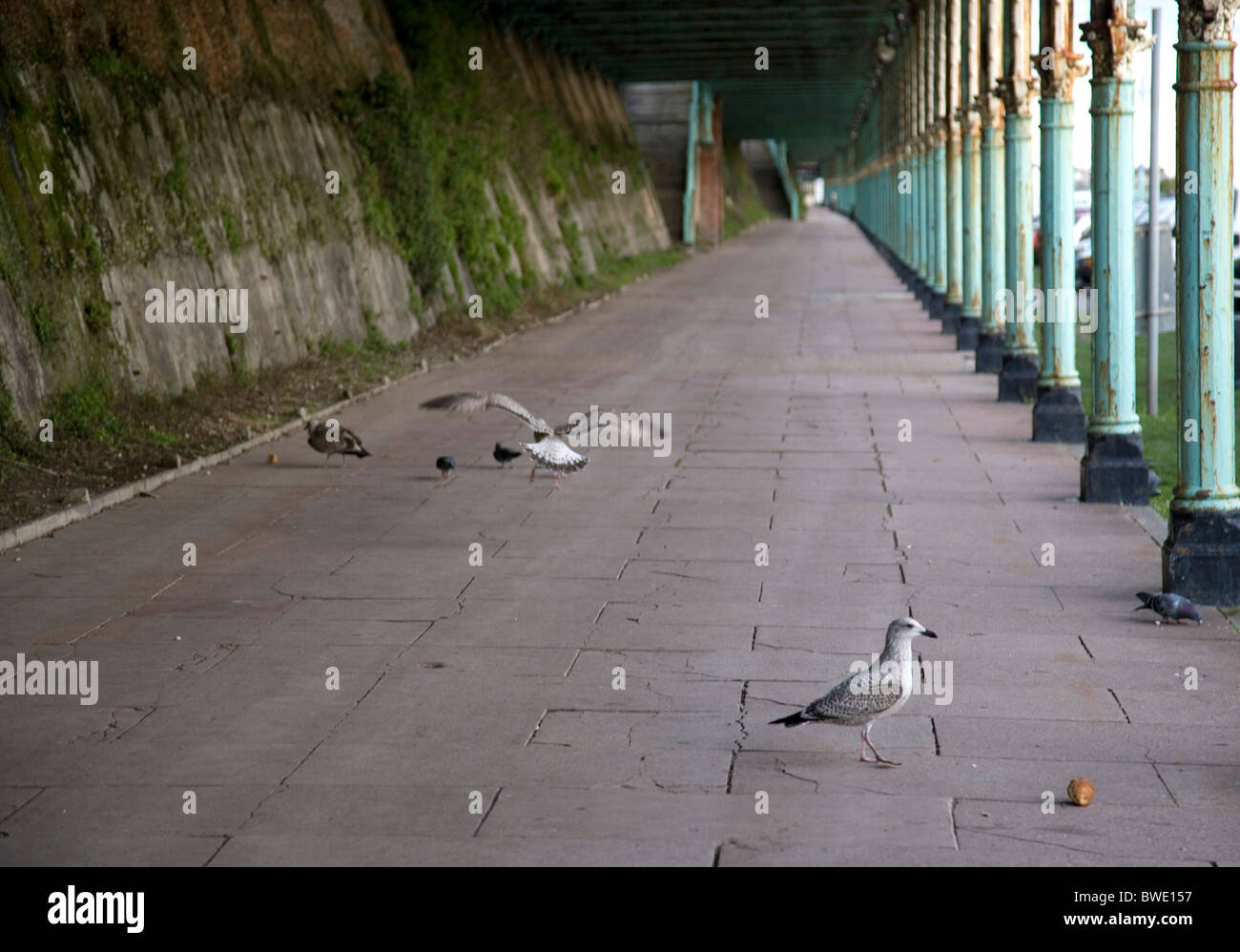 Regency brighton hi-res stock photography and images - Alamy