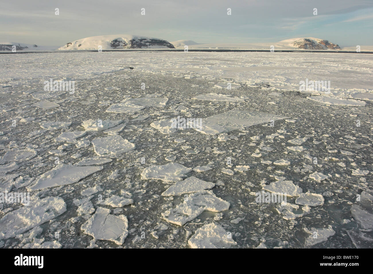 Sea-ice pack-ice in Snow Hill Island area Erebus and Terror Gulf ...