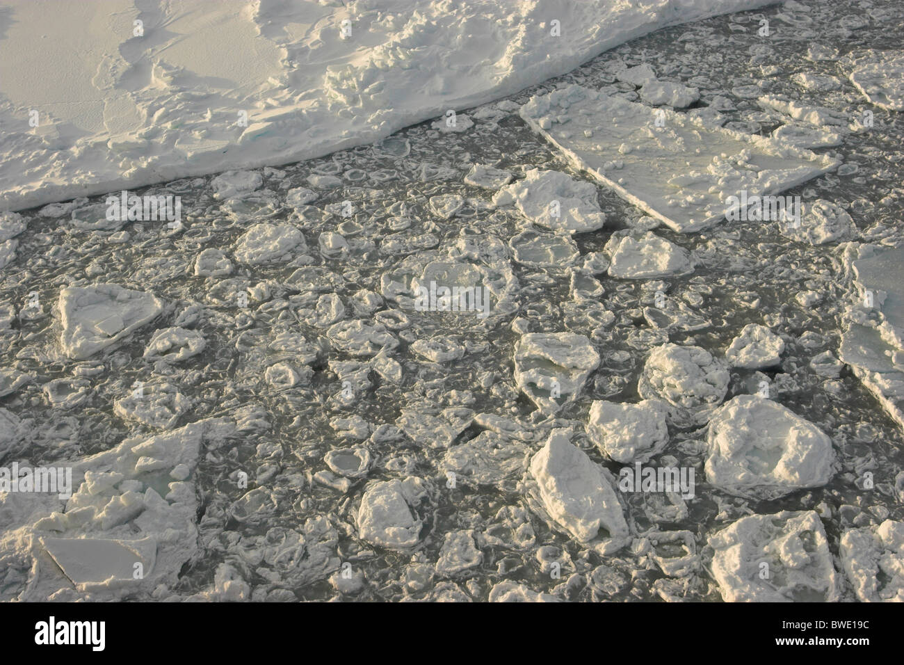 Sea-ice pancake ice next to ice floe Erebus and Terror Gulf Antarctic ...