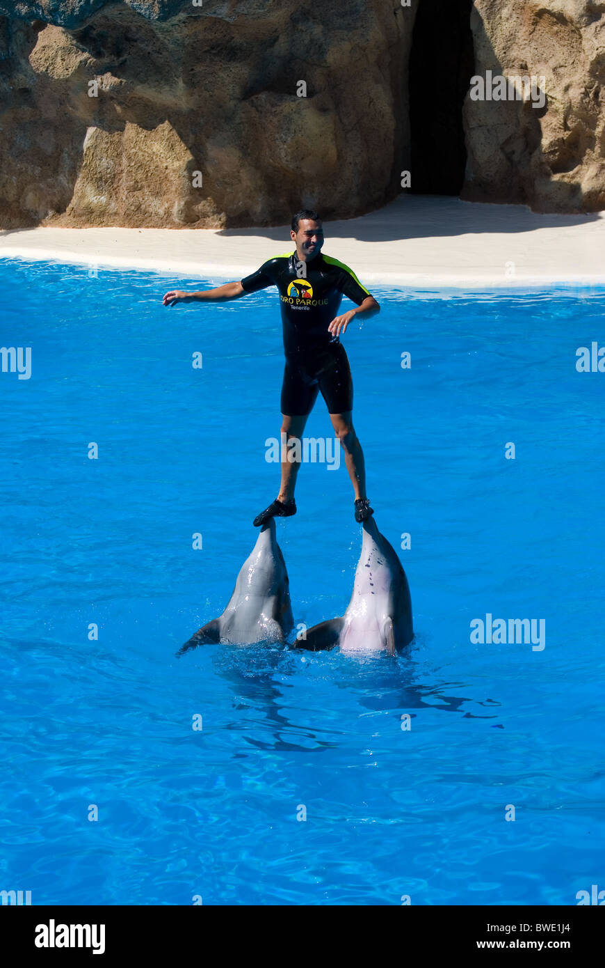 Trainer dolphinarium hi-res stock photography and images - Alamy