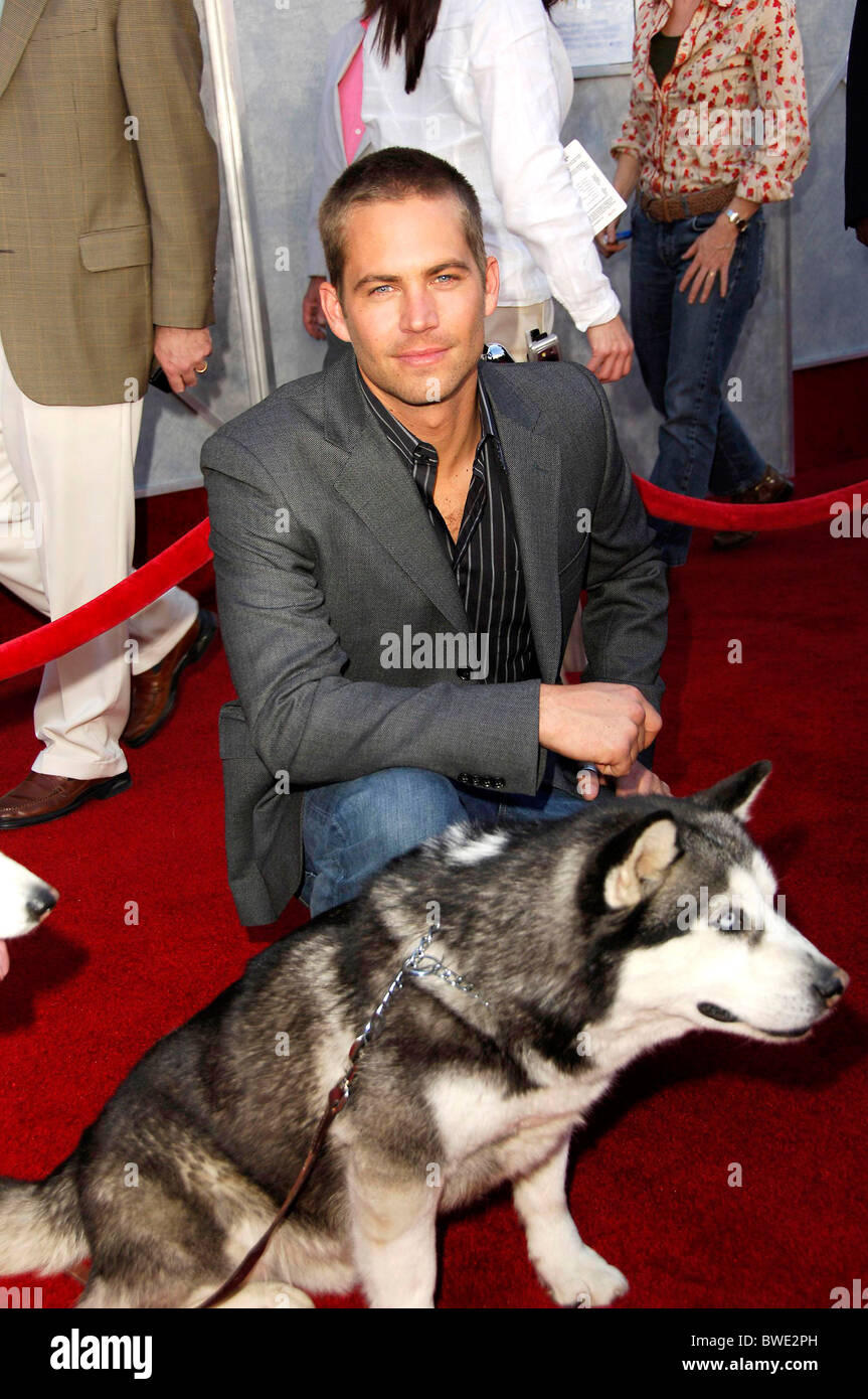 Eight Below Max