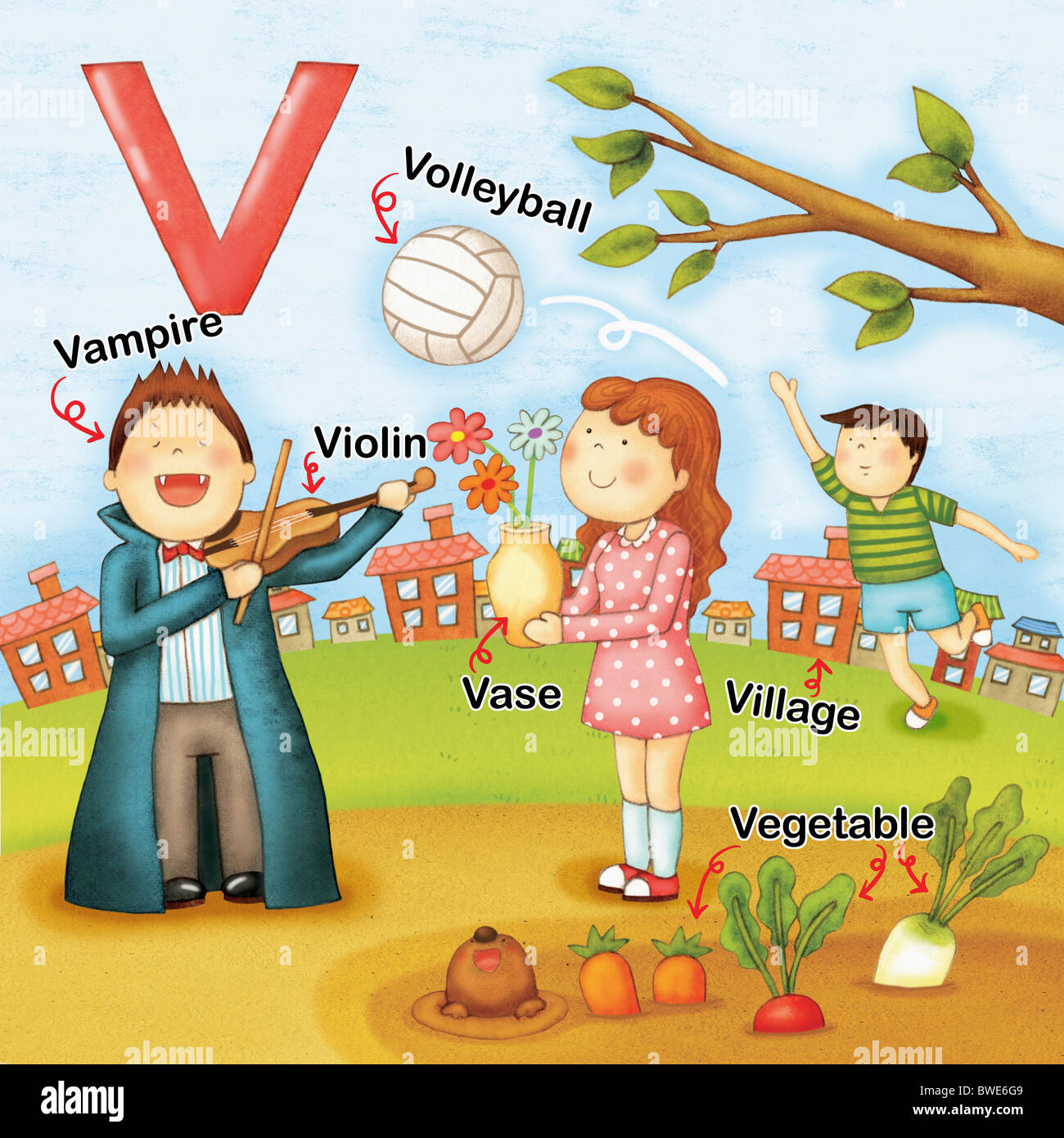 alphabet V study with illustration and words Stock Photo - Alamy