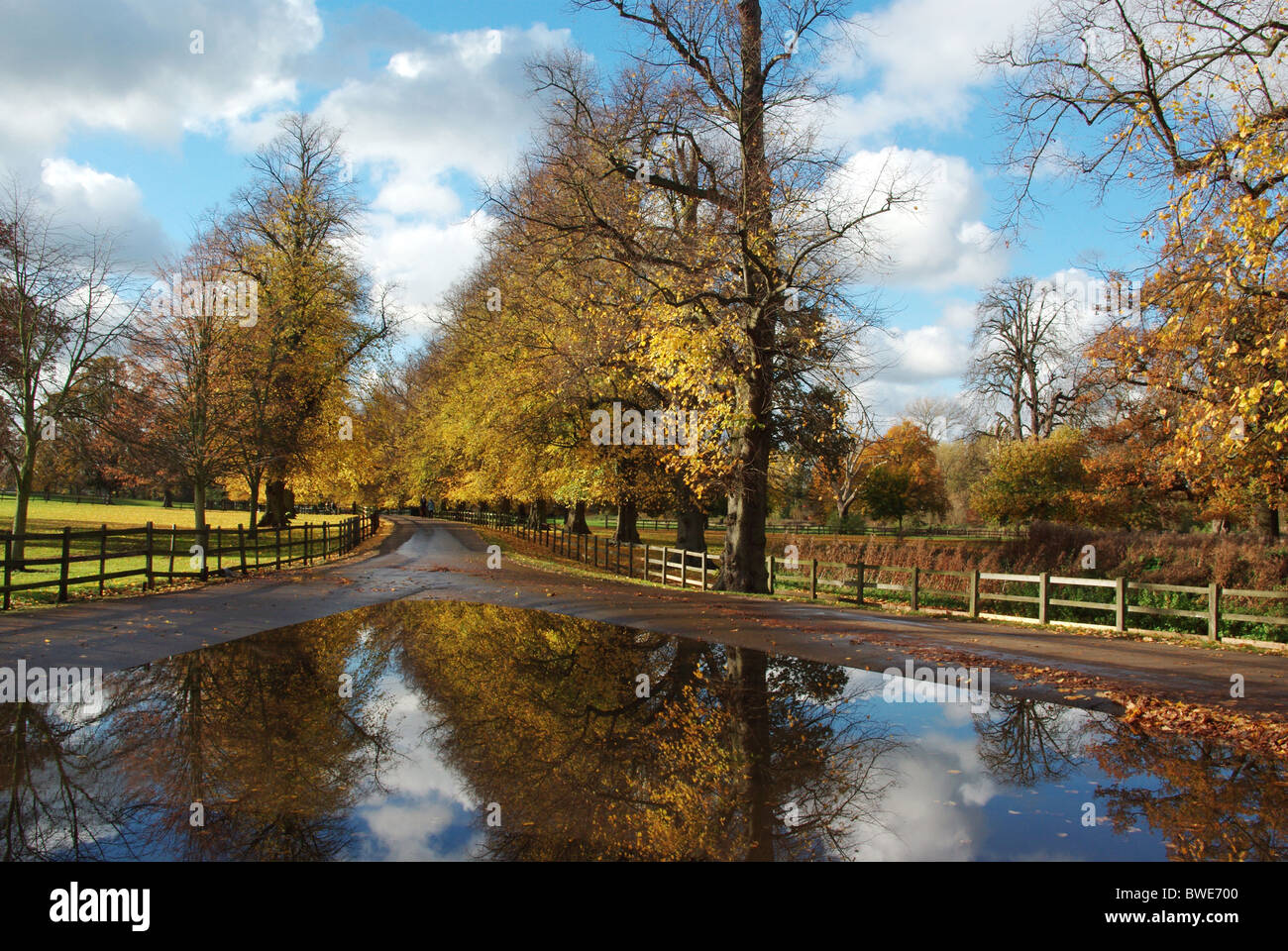 Car Water Reflections High Resolution Stock Photography and Images - Alamy