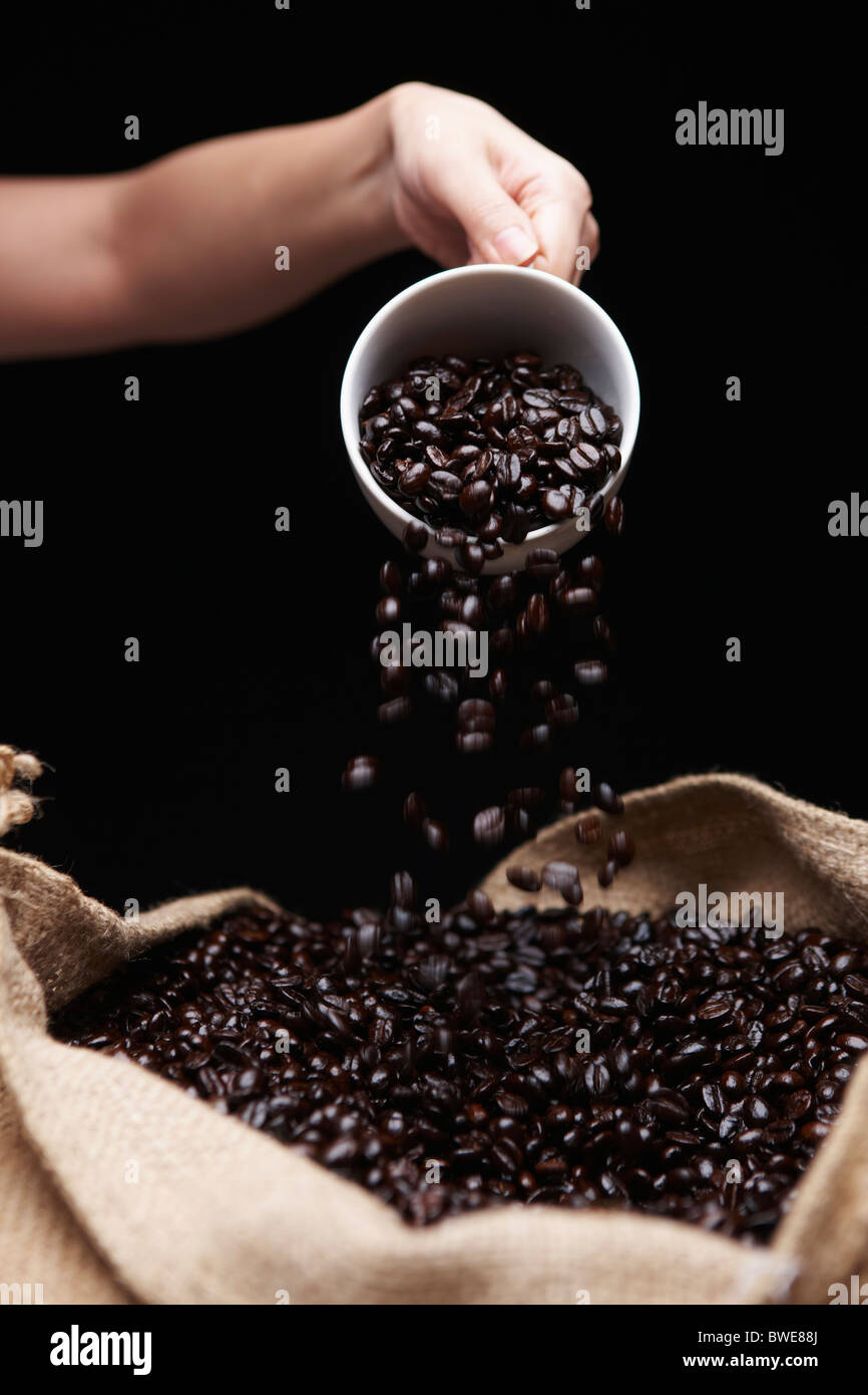 pouring roasted coffee beans into sack Stock Photo - Alamy