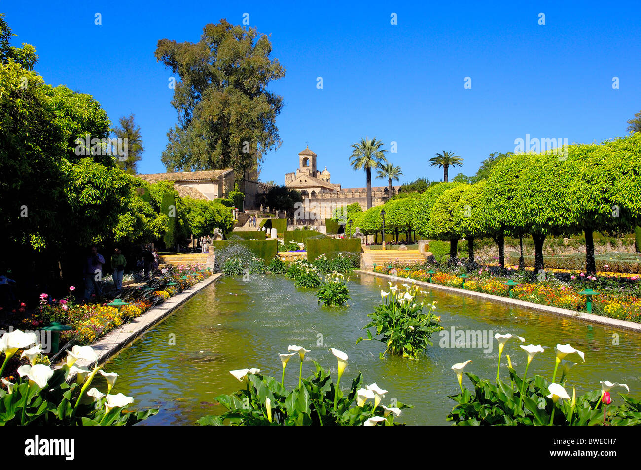 The gardens of the Alcazar of Catholic Kings, Cordoba. Andalusia, Spain ...