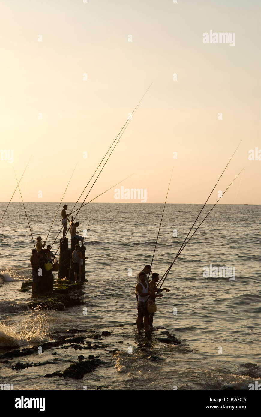 Fishermen, Corniche, Beirut, LEBANON Stock Photo - Alamy