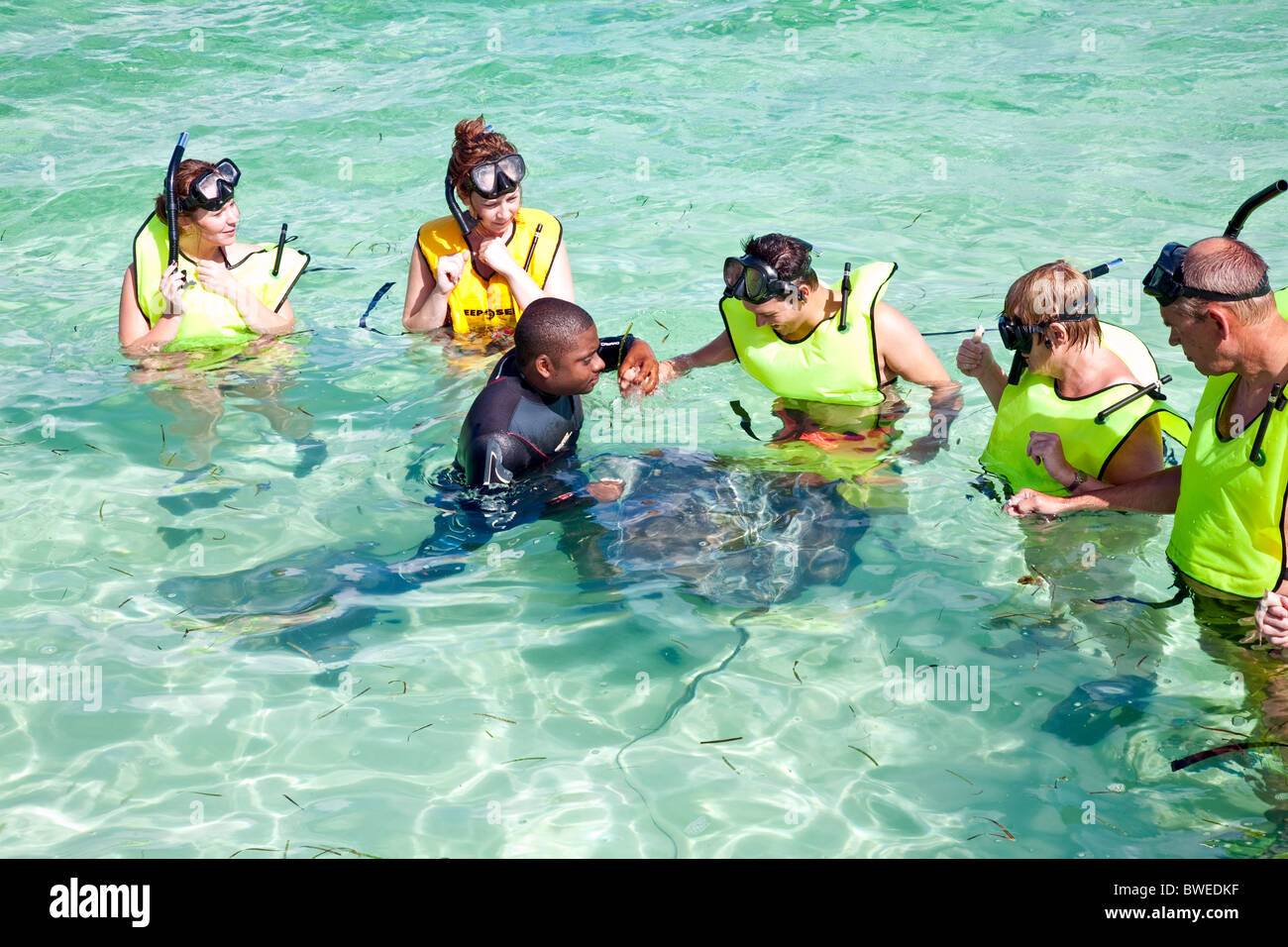 Sting Ray feeding with cruise ship tourist on "Half Moon Cay" in the ...