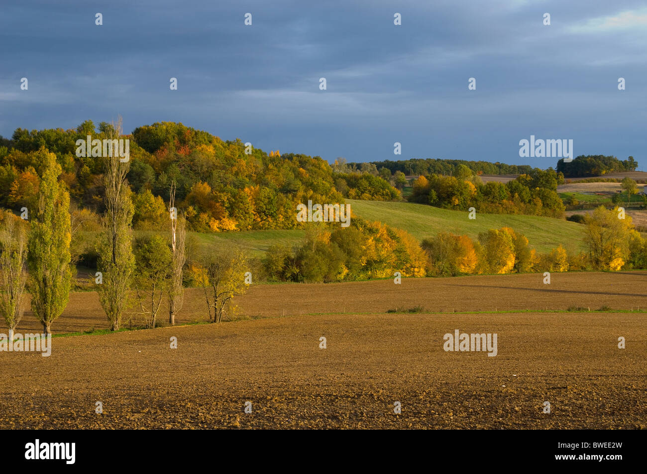 Autumn colors in French woodlands Stock Photo - Alamy