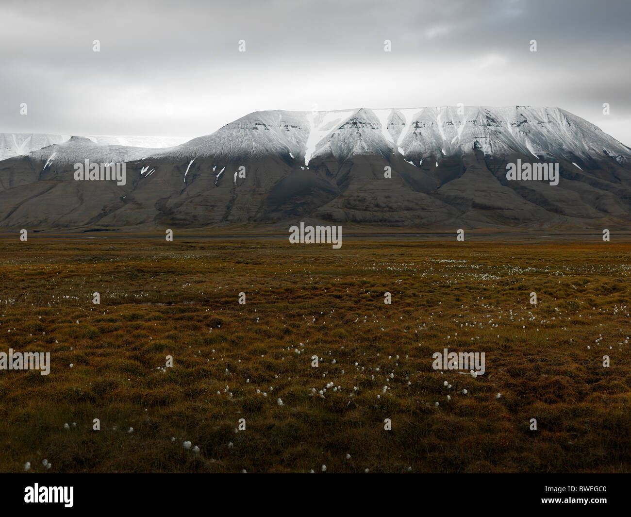 Svalbard landscape hi-res stock photography and images - Alamy