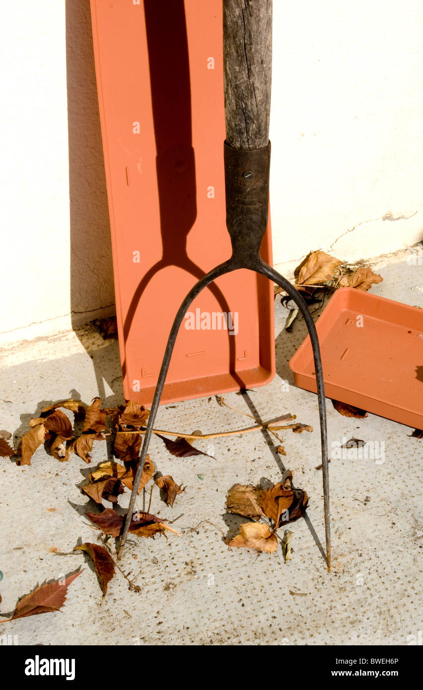 Sharp prongs hi-res stock photography and images - Alamy