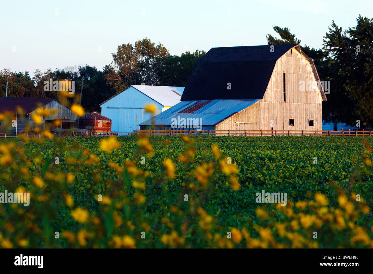 Old barn in midwest hi-res stock photography and images - Alamy
