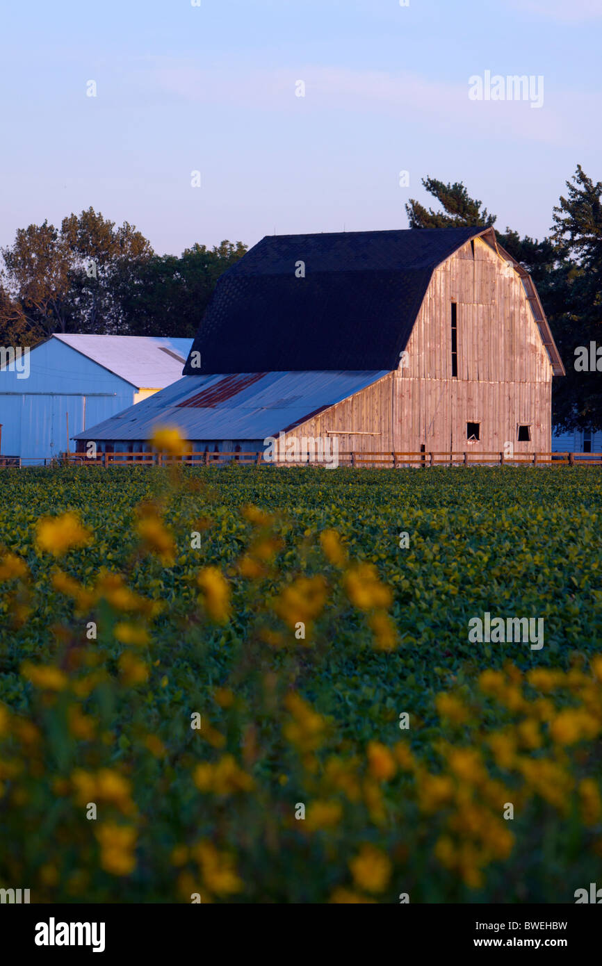 Old barn in midwest hi-res stock photography and images - Alamy