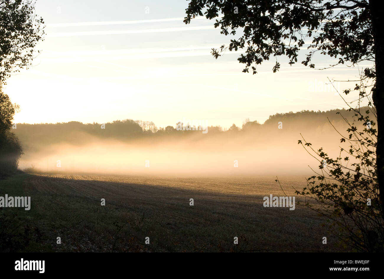 Mist early hi-res stock photography and images - Alamy