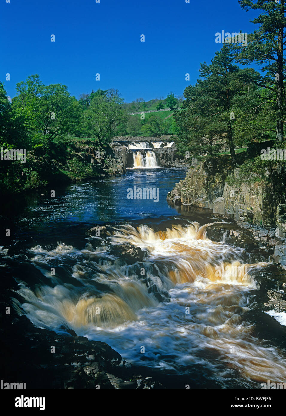 A summer view of Low Force Waterfall and the River Tees in Teesdale ...