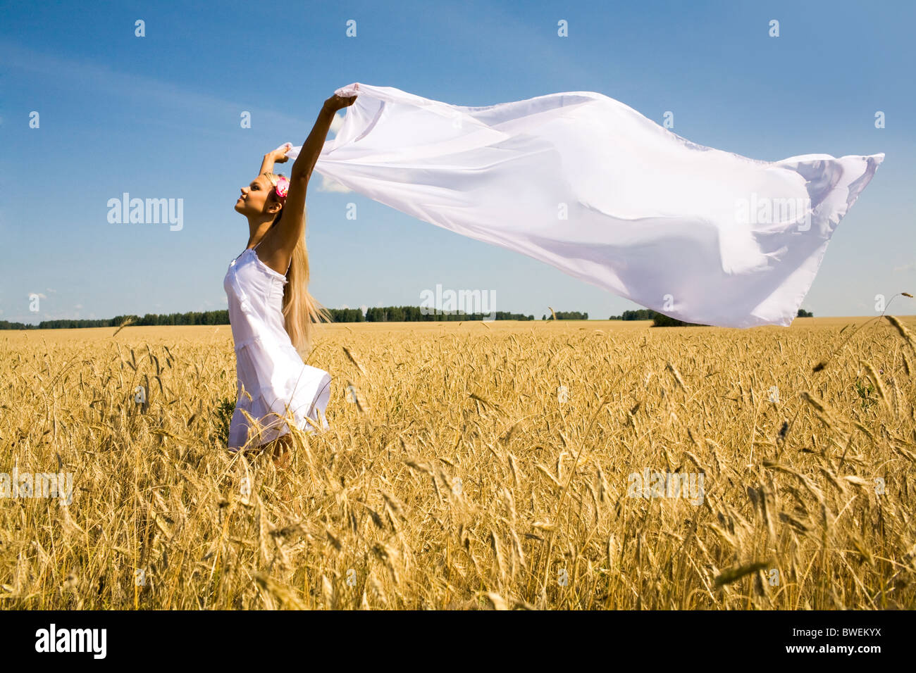 White Cloth In The Wind