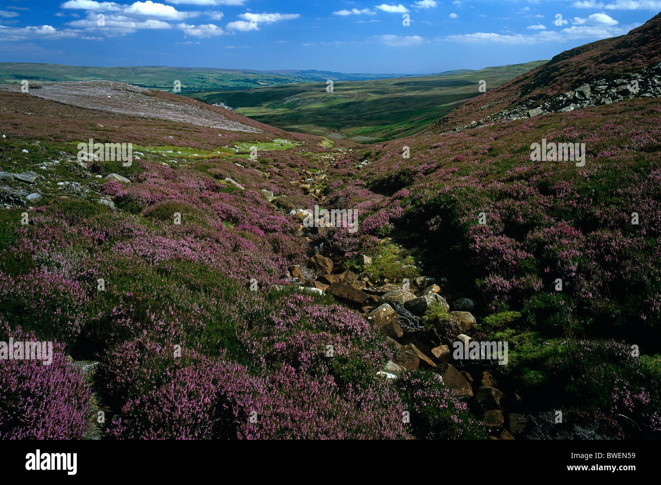 A view of Upper Teesdale in heather moorland near Langdon Beck, County ...