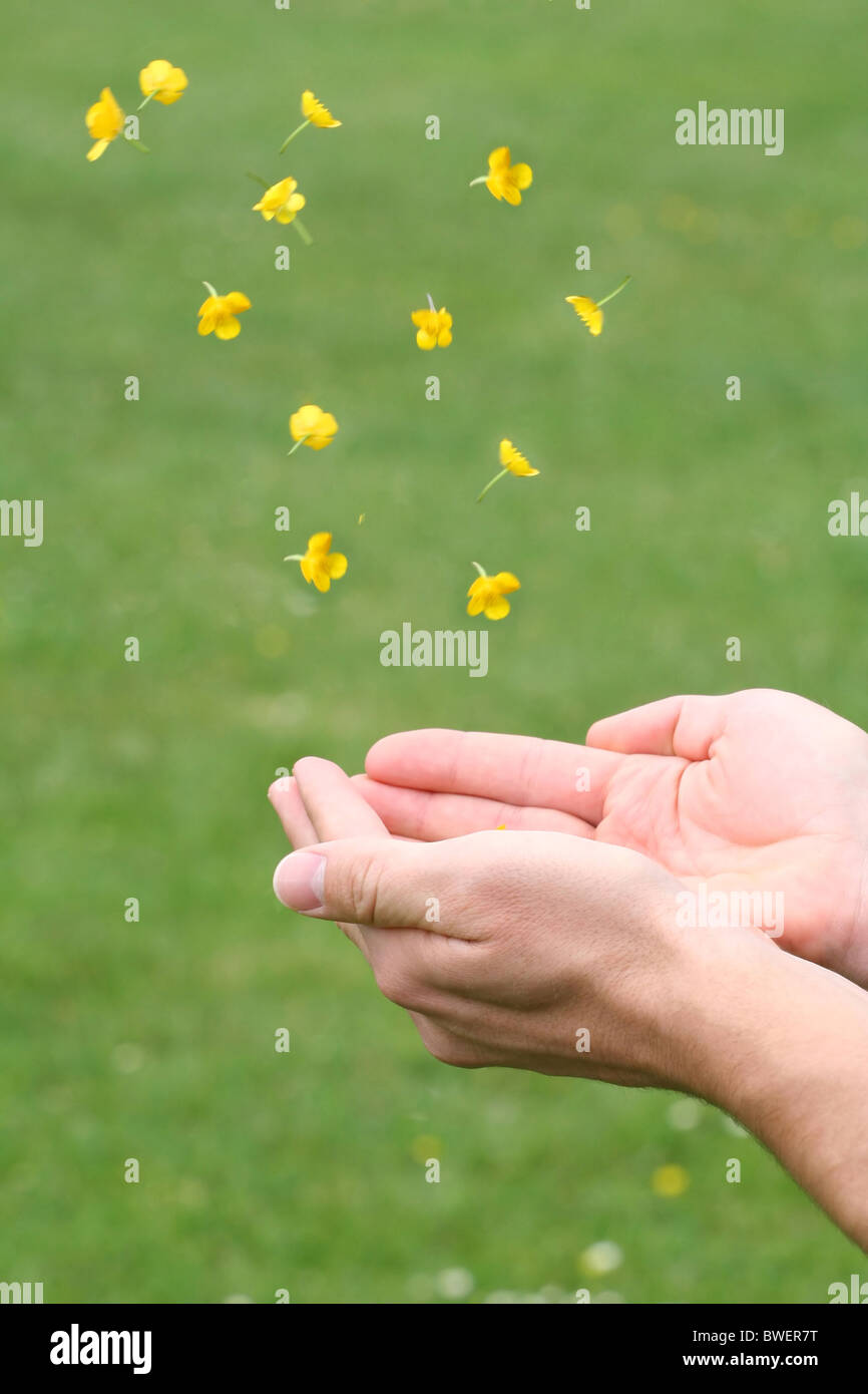 Hands catching falling blossoms symbolize to live in close touch with ...