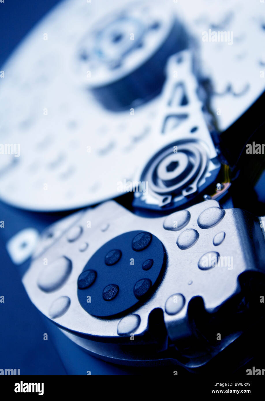 Read/write head of a computer hard drive Stock Photo - Alamy